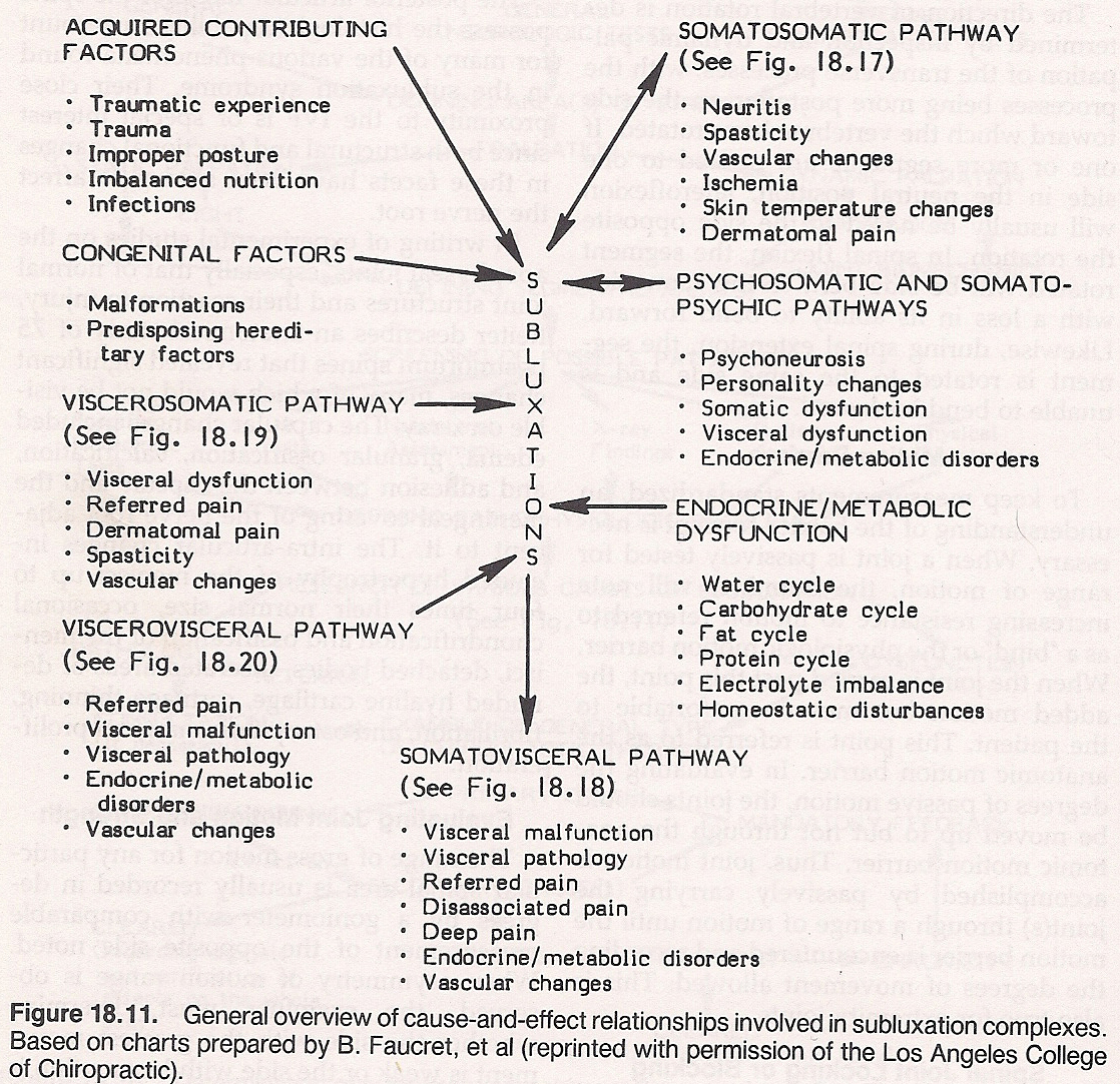 The general cause-and-effect relationships involved in subluxation ...