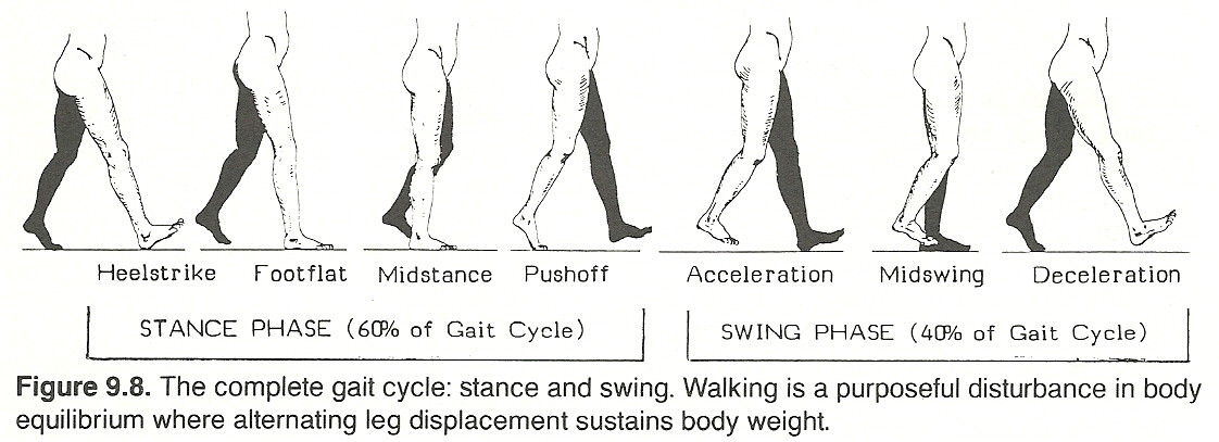 Neurologic Gaits