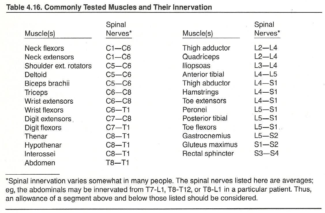 Basic Functions