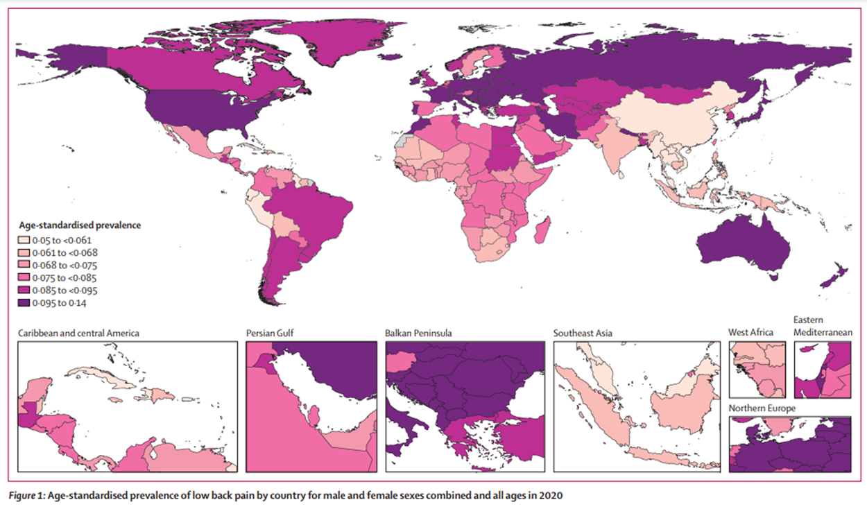 Development, Validation and Use of Custom Software for the Analysis of ...